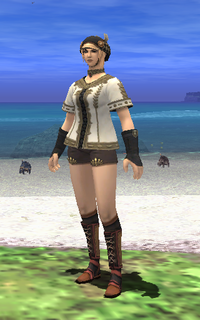 よく使ってるロックスタイル装備（防具編）: FF11のメモ的なもの