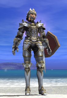 ナイト Lv99: FF11のメモ的なもの