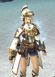 ナイト Lv99: FF11のメモ的なもの